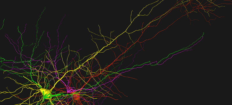 About · Netpyne Open Source Package For Neuronal Networks